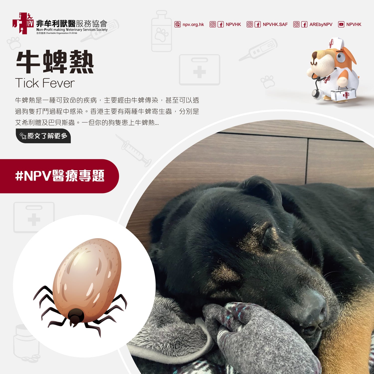 cattle tick fever – NPWe Shop