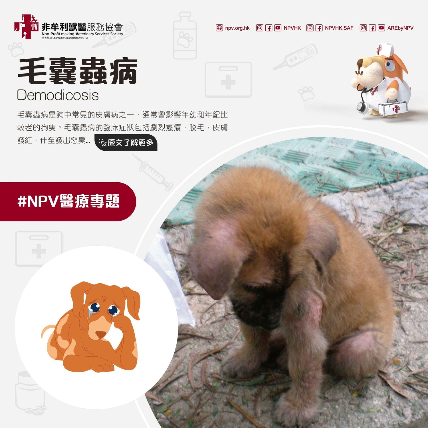 毛囊蟲 – NPWe Shop