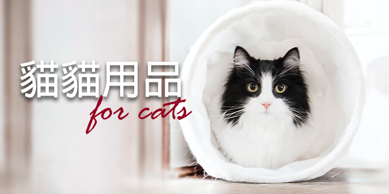 Cats Collection – NPWe Shop